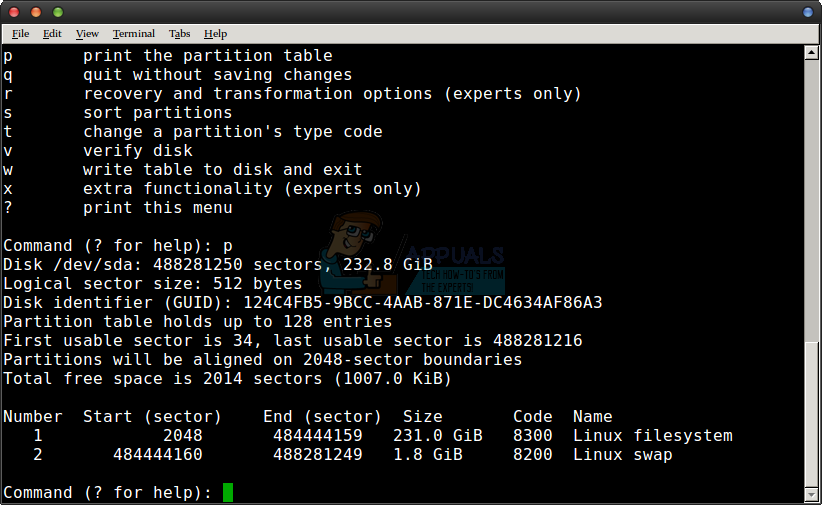 How to Partition and Configure Drives for Linux UEFI Boot - Appuals.com