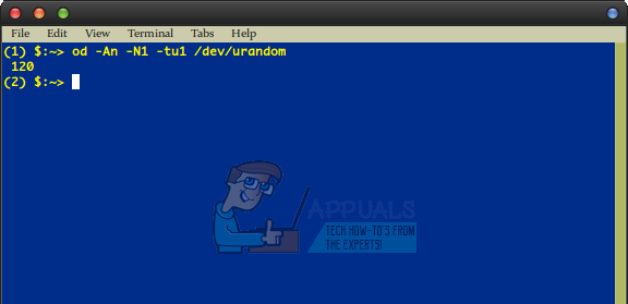 How To Set Bash Variables To Random Numbers