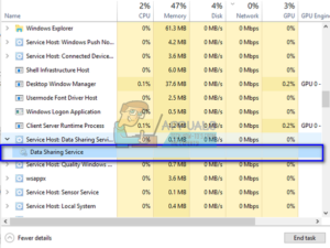 Fix: Host Process for Windows Service Consuming Internet Bandwidth