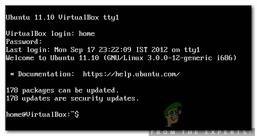 How to Fix &#039;Failed to Connect to lvmetad&#039; Error on Ubuntu?