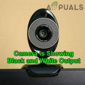 How to Fix Camera output in Black and White Monotone?