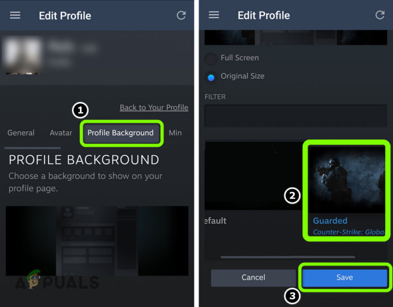 How to Change the Steam Profile Backgrounds?