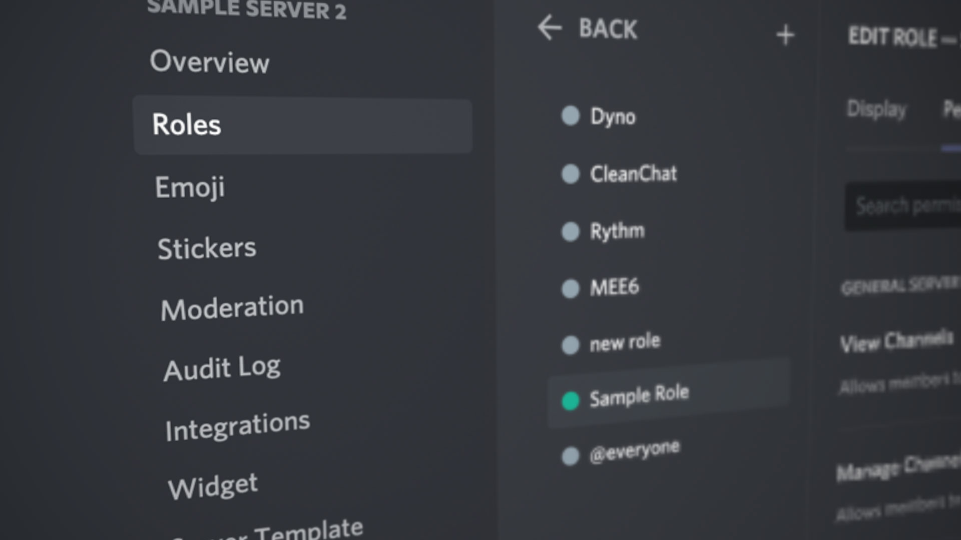 How to Add, Remove, Manage and Assign Roles in Discord?