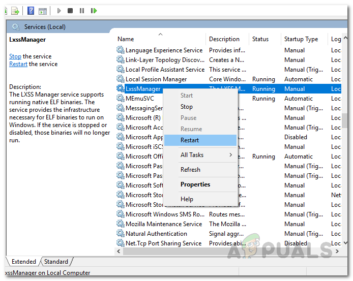 How to Fix 'Localhost Refused to Connect' Error on Windows?