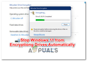 How to Stop Windows 11 from Encrypting Drive Automatically?