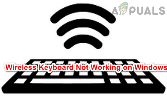Wireless Keyboard Not Working? Try these solutions