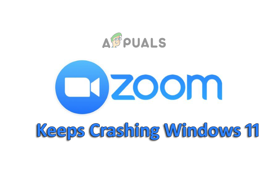 Zoom Keeps Crashing Windows 11? Try These Fixes
