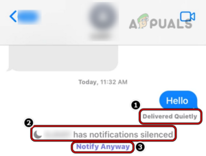 What is "Share Focus Status" and How to Enable it? iOS & MacOS