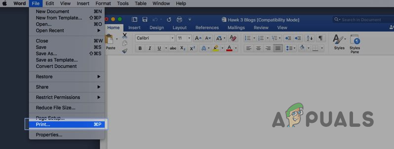 How to Print Both Sides on Paper in Windows/Mac?