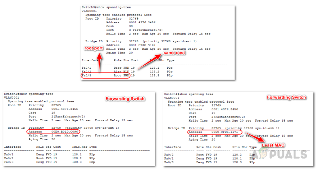 What is Spanning Tree Protocol (STP) and how it works?