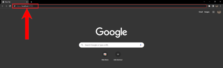 The Ultimate Guide to AMD Sunshine - PC Game Streaming