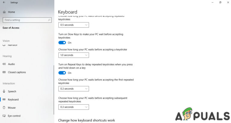 Filter Keys: What Are They & How to Enable Them?