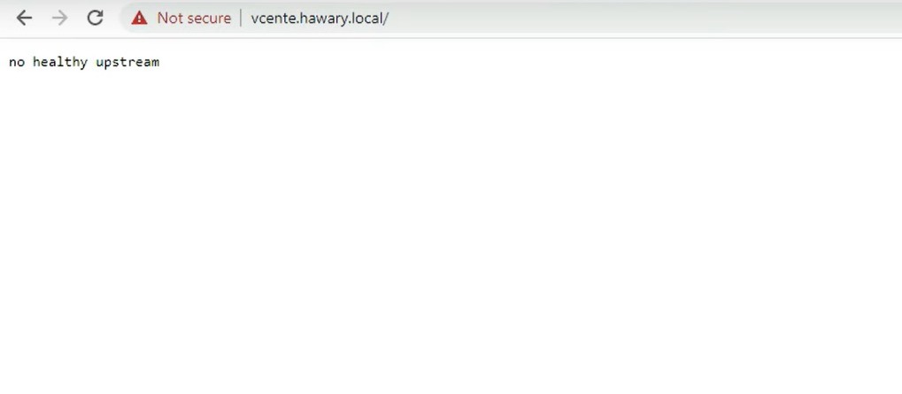 Fix: 'No healthy upstream' error in Browsers & Applications