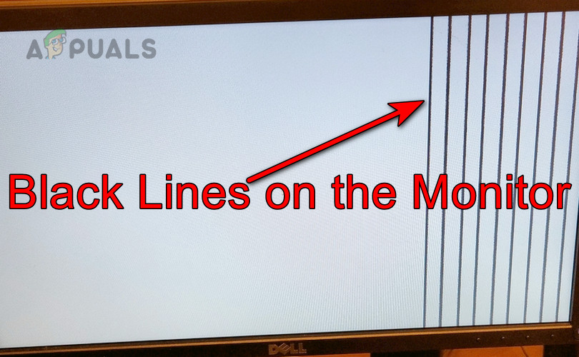How To Troubleshoot And Fix Black Lines On Your Monitor TrendRadars