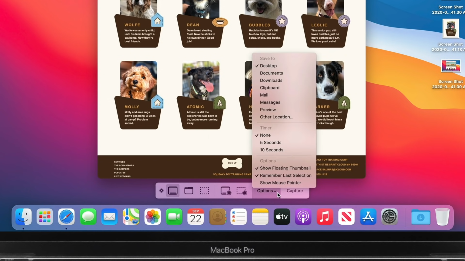 Apple Snipping Tool: 3 Ways to Screenshot on Mac (2026)