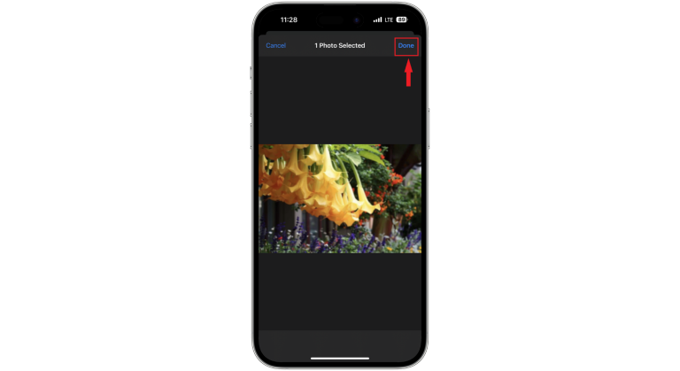 How to Fix Blurry Pictures on iPhone in 5 Different Ways