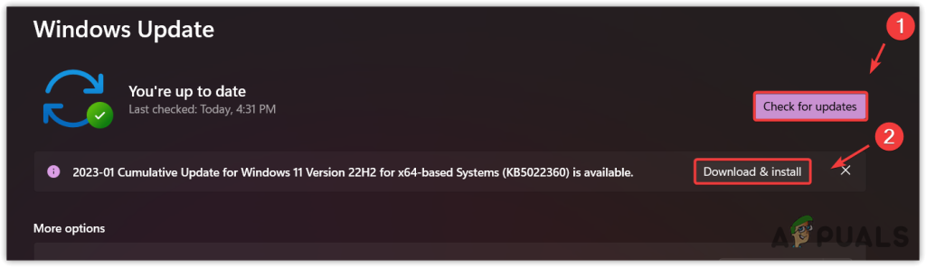 How to Fix the Destiny 2 BattlEye Error Code "Plum"