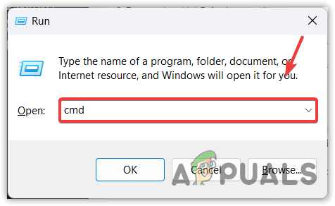 How to Fix CAA50021 Error Code in Microsoft 365 Apps?