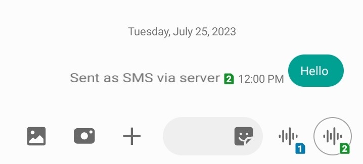 What does "Sent as SMS via server" mean in SMS?
