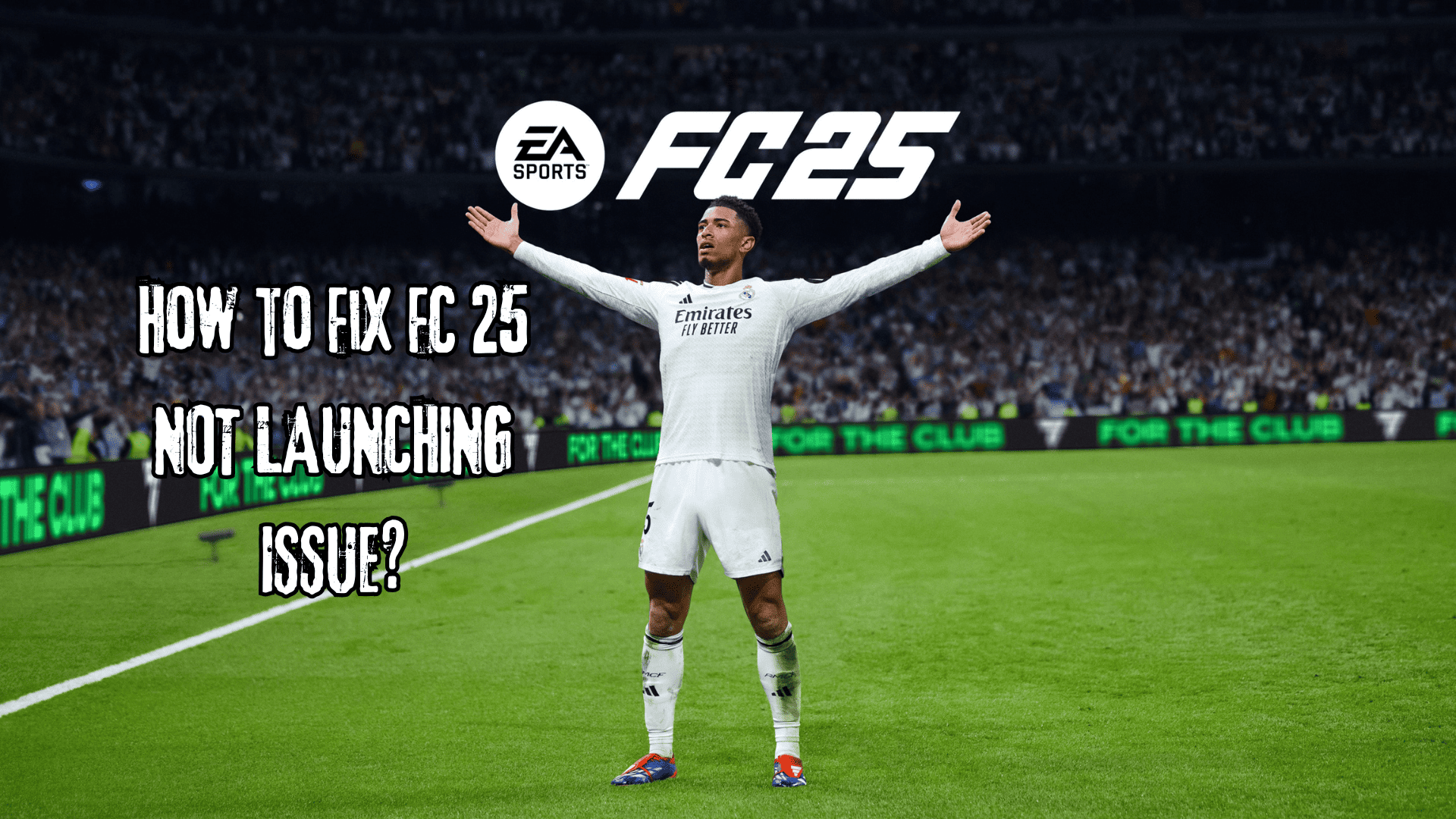 How to Fix EA FC 25 Not Launching on PC?