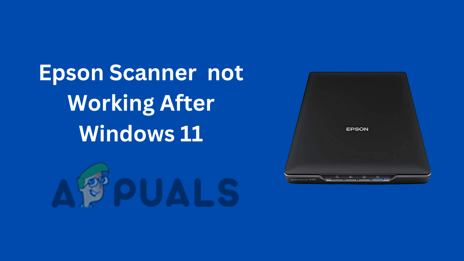 Fix: Epson Scanner Not Working After Windows 11 Update