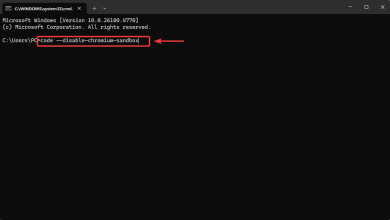 Fix: Visual Studio Code “The Window Terminated Unexpectedly” Error