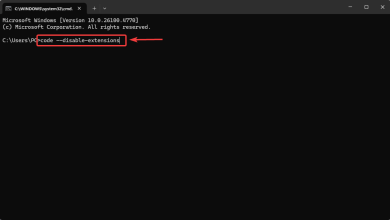 Fix: Visual Studio Code “The Window Terminated Unexpectedly” Error