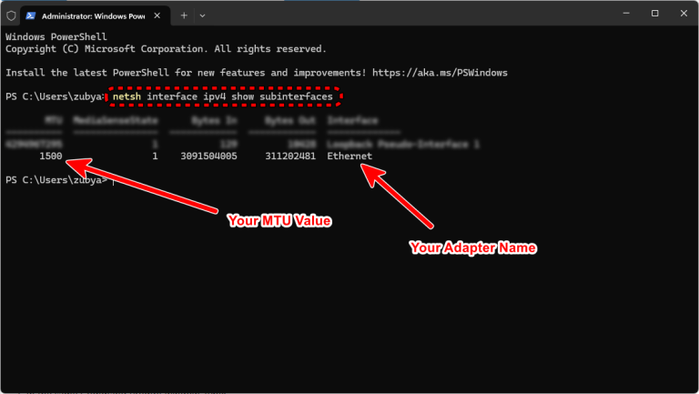 How to Fix the “Lost Connection” Error in Terraria