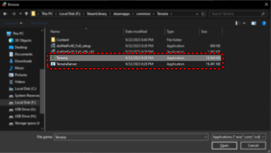 How to Fix the “Lost Connection” Error in Terraria