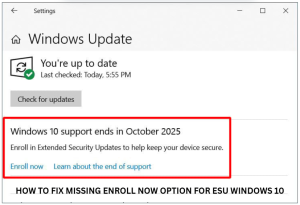 How to Fix Missing “Enroll Now” Option in Windows 10 (ESU)
