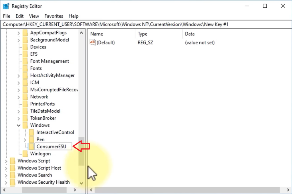 How to Fix Missing “Enroll Now” Option in Windows 10 (ESU)